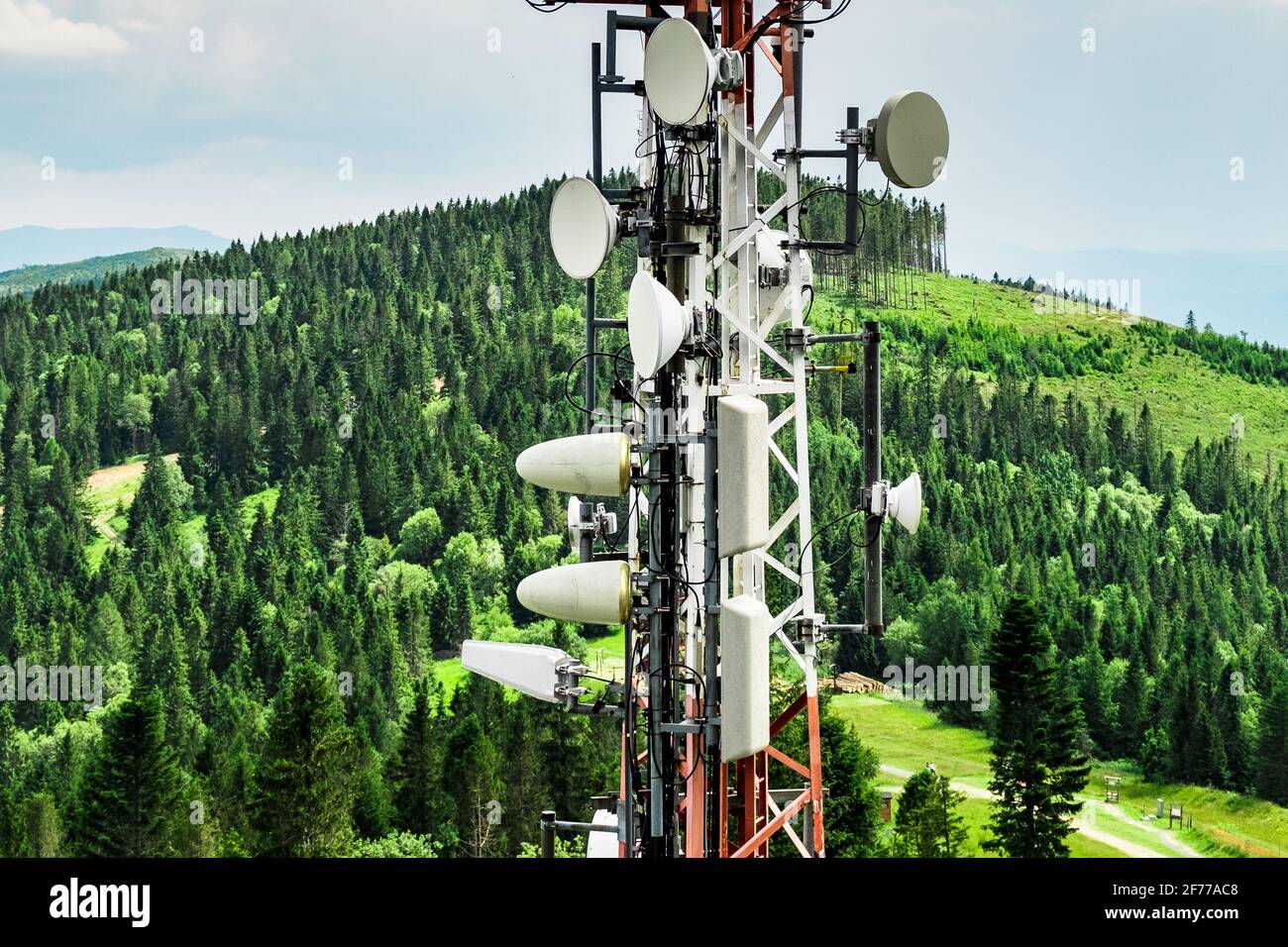 Cell tree cell phone antennas hi-res stock photography and images - Alamy