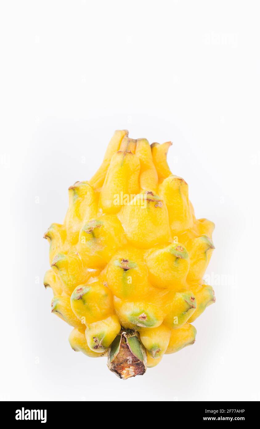 Fresh yellow pitaya on white background - Selenicereus megalanthus ...