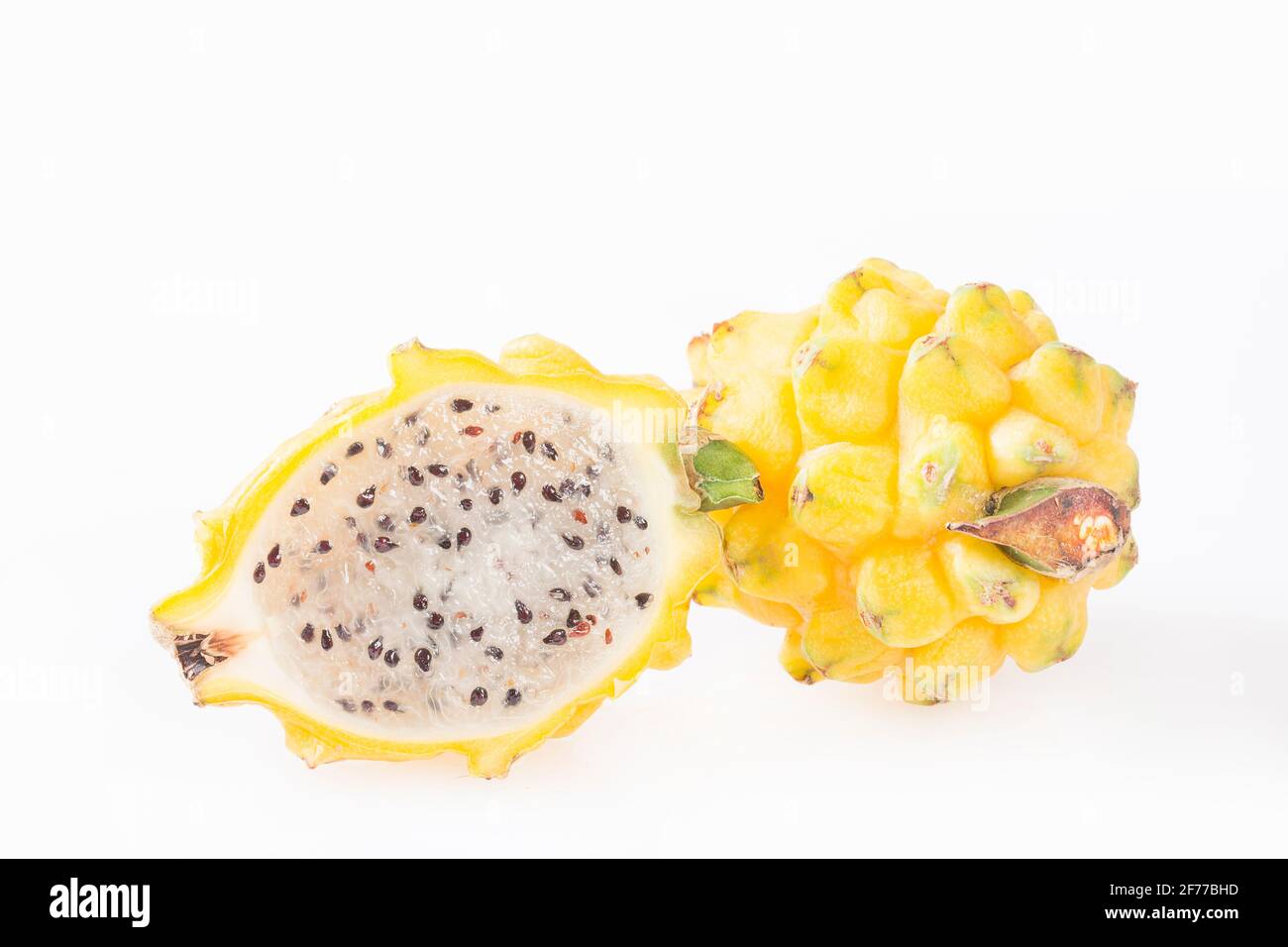 Yellow Pitahaya native to Central and South America - Selenicereus ...