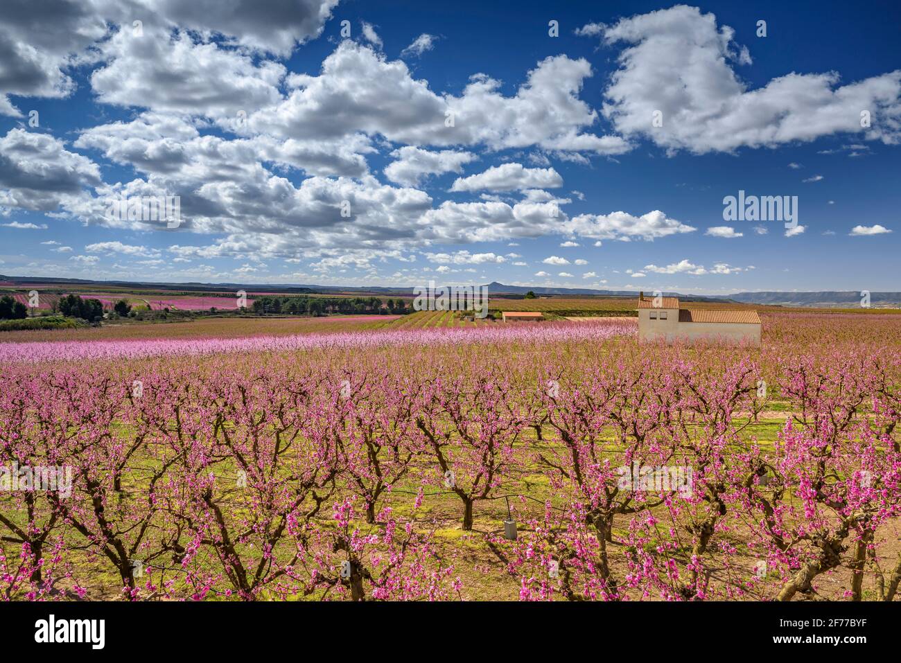 Lleida provincia hi-res stock photography and images - Alamy
