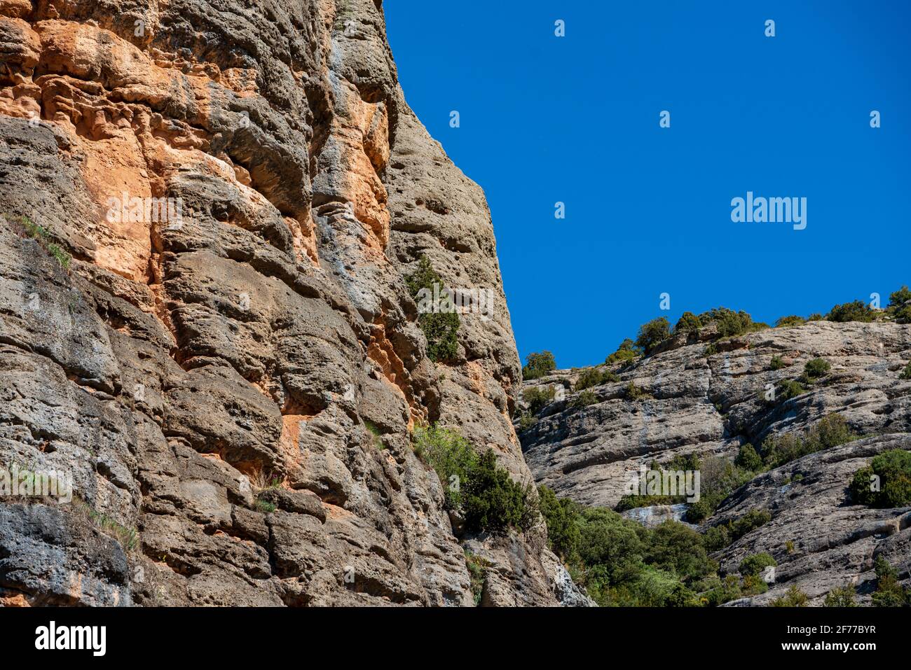 Gorge of Collegats in the Pyrenees. In the middle of spring. On a sunny ...