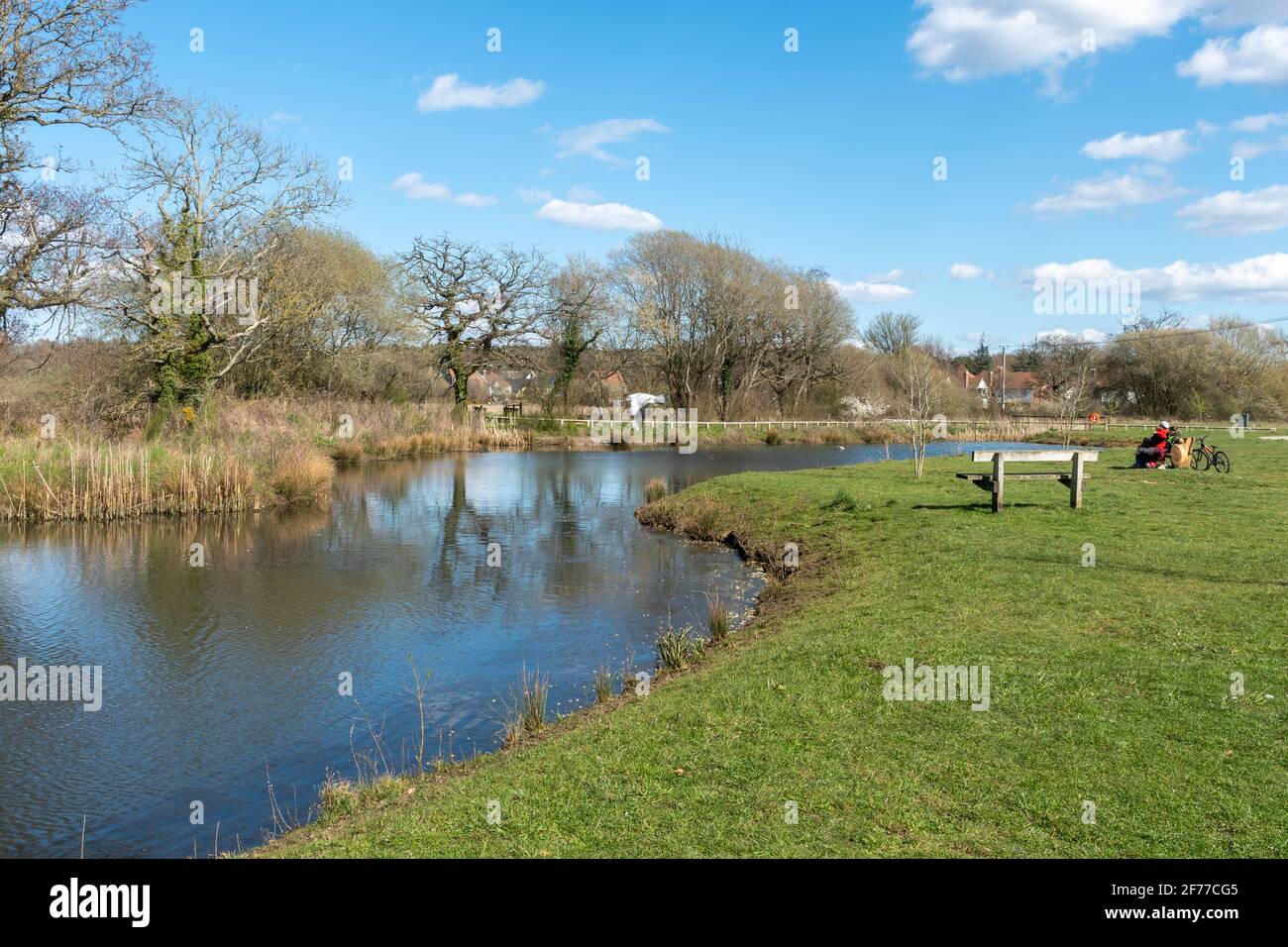 Park benches pond hi-res stock photography and images - Alamy