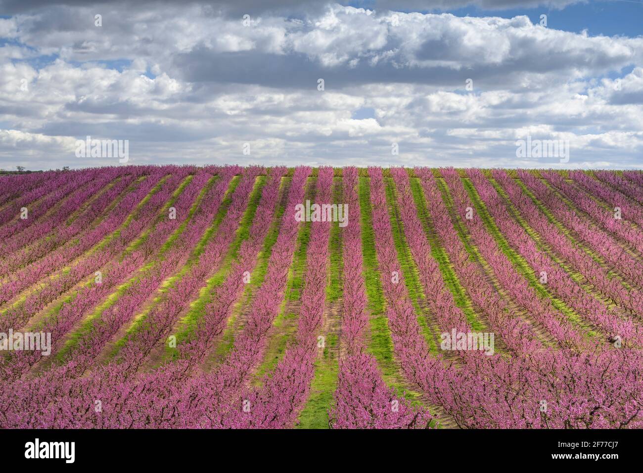 Lleida provincia hi-res stock photography and images - Alamy