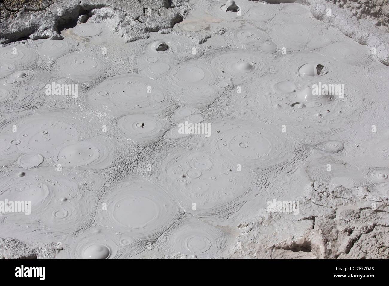 A boiling mud detail taken at geyser in Bolivia Stock Photo - Alamy