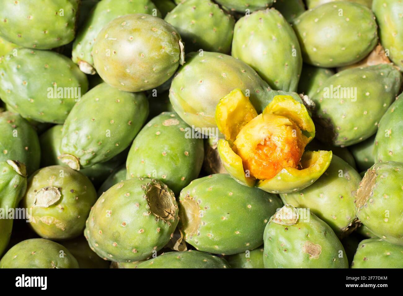 Fruit of the cactus. Top view - Opuntia ficus indica Stock Photo - Alamy