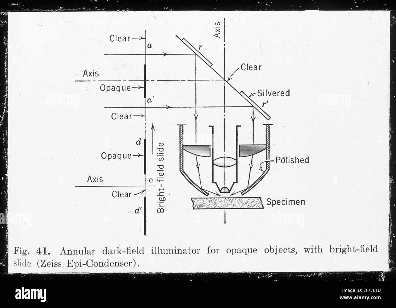 Translucent Objects Examples In The House
