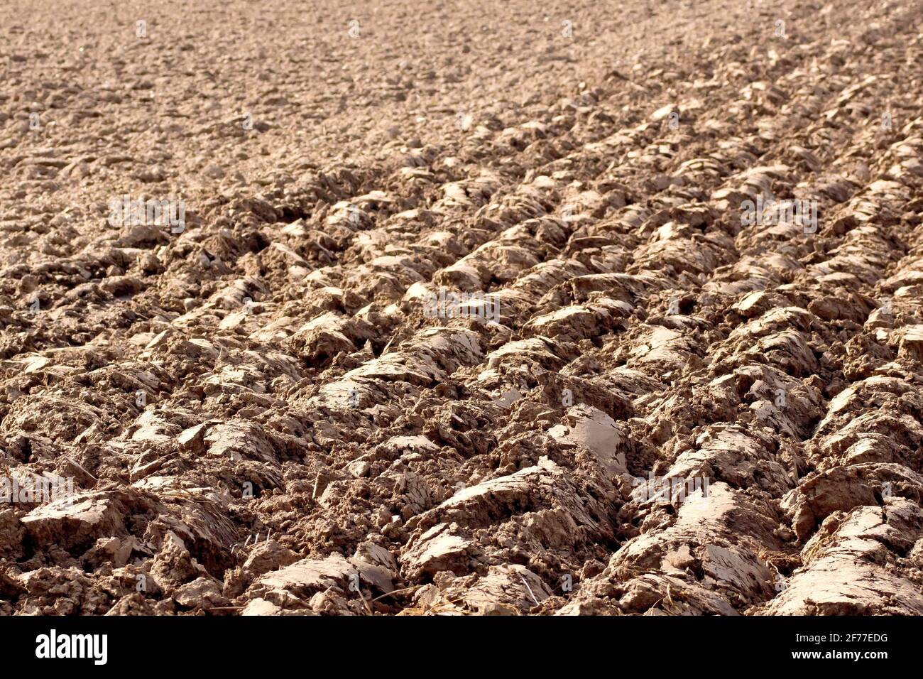A freshly ploughed field of rich brown earth left to dry out in the ...