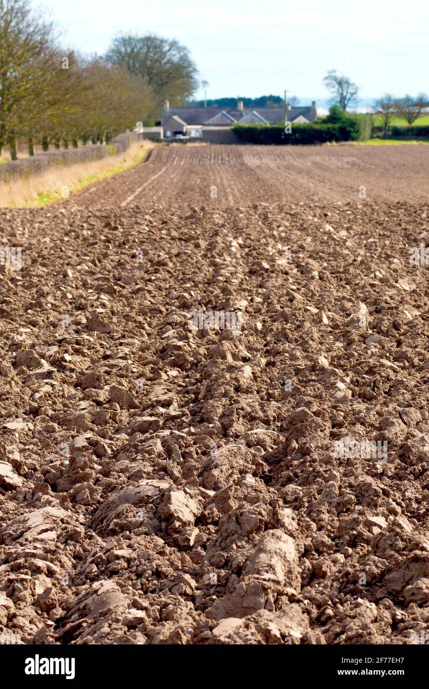Farming agriculture cultivation hi-res stock photography and images - Alamy