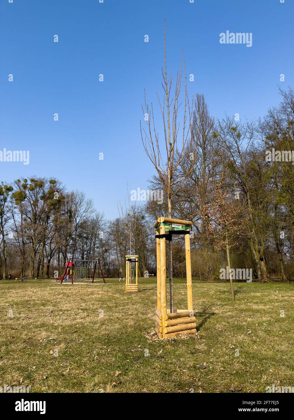 Planting trees in public city park at spring, concept of ecology and ...