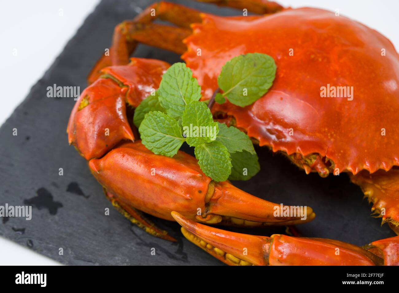 Cooked mud crab, which is red in colour arranged on a slate and ...
