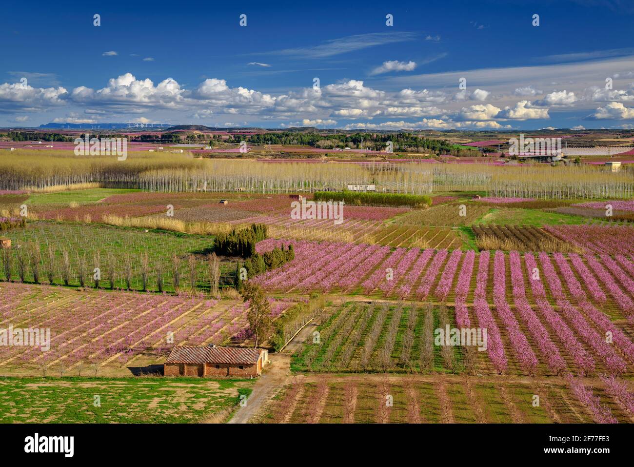 Huerto de árboles frutales hi-res stock photography and images - Alamy