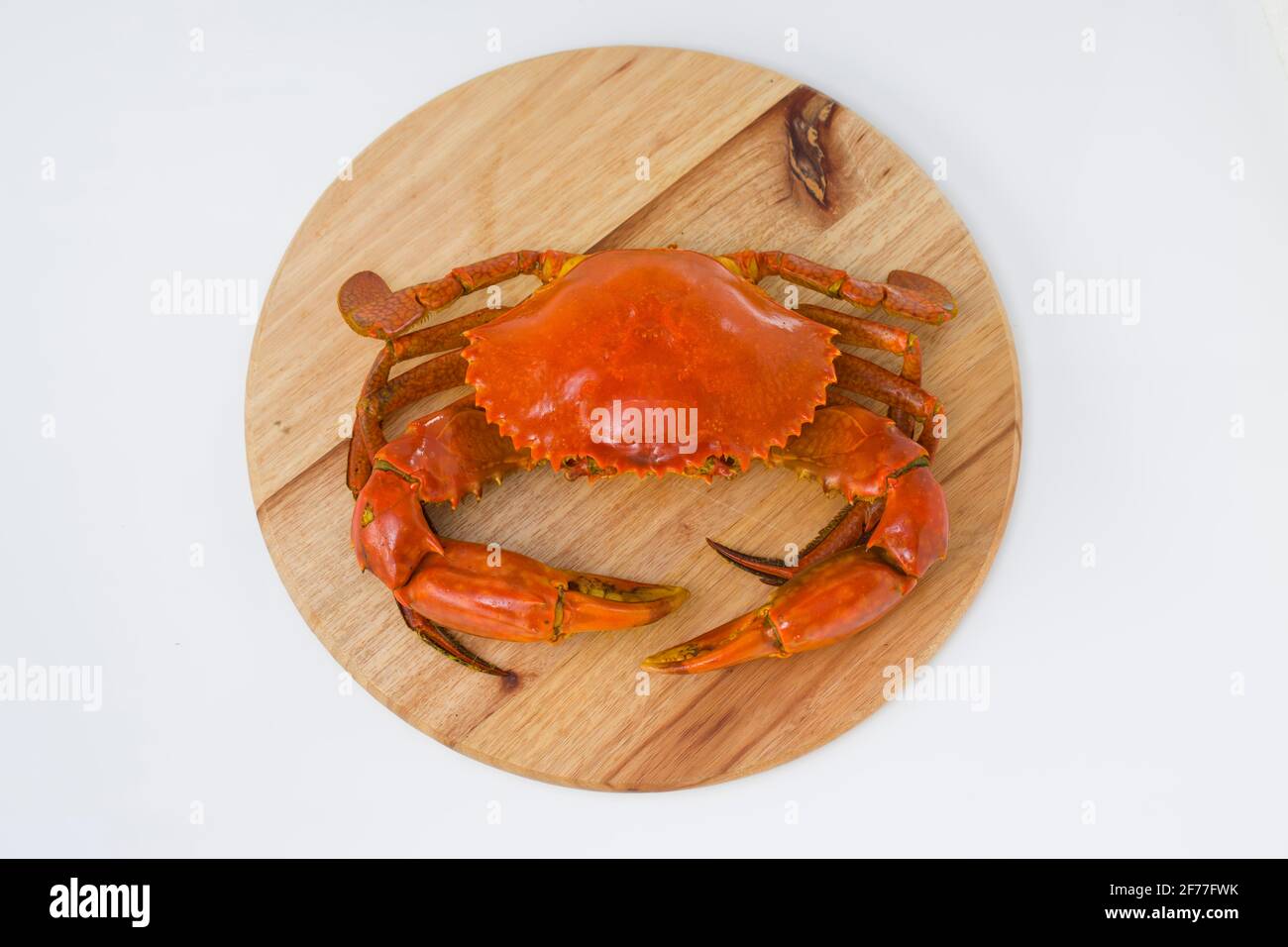 Crab shell texture hi-res stock photography and images - Alamy