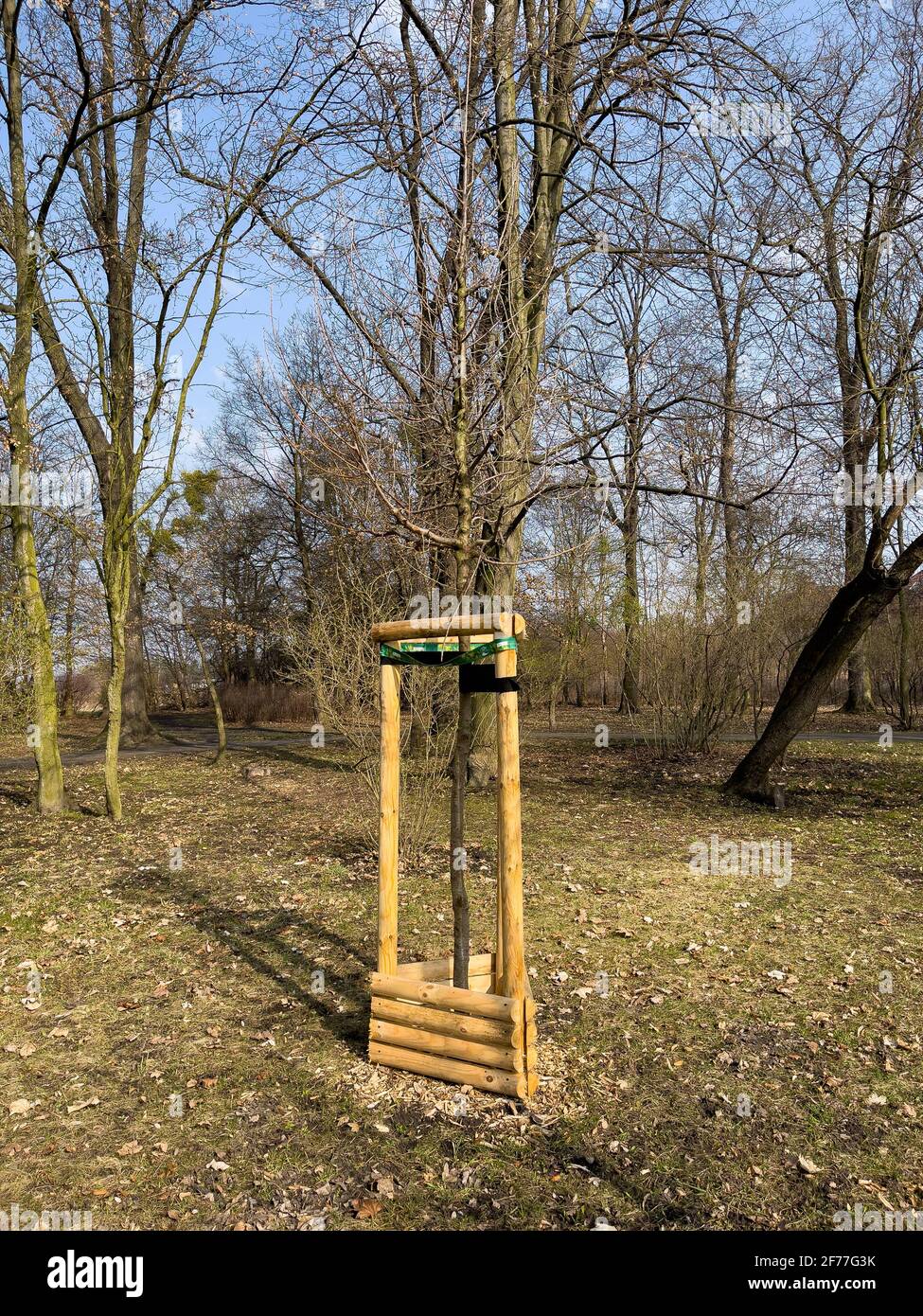 Planting trees in public city park at spring, concept of ecology and ...