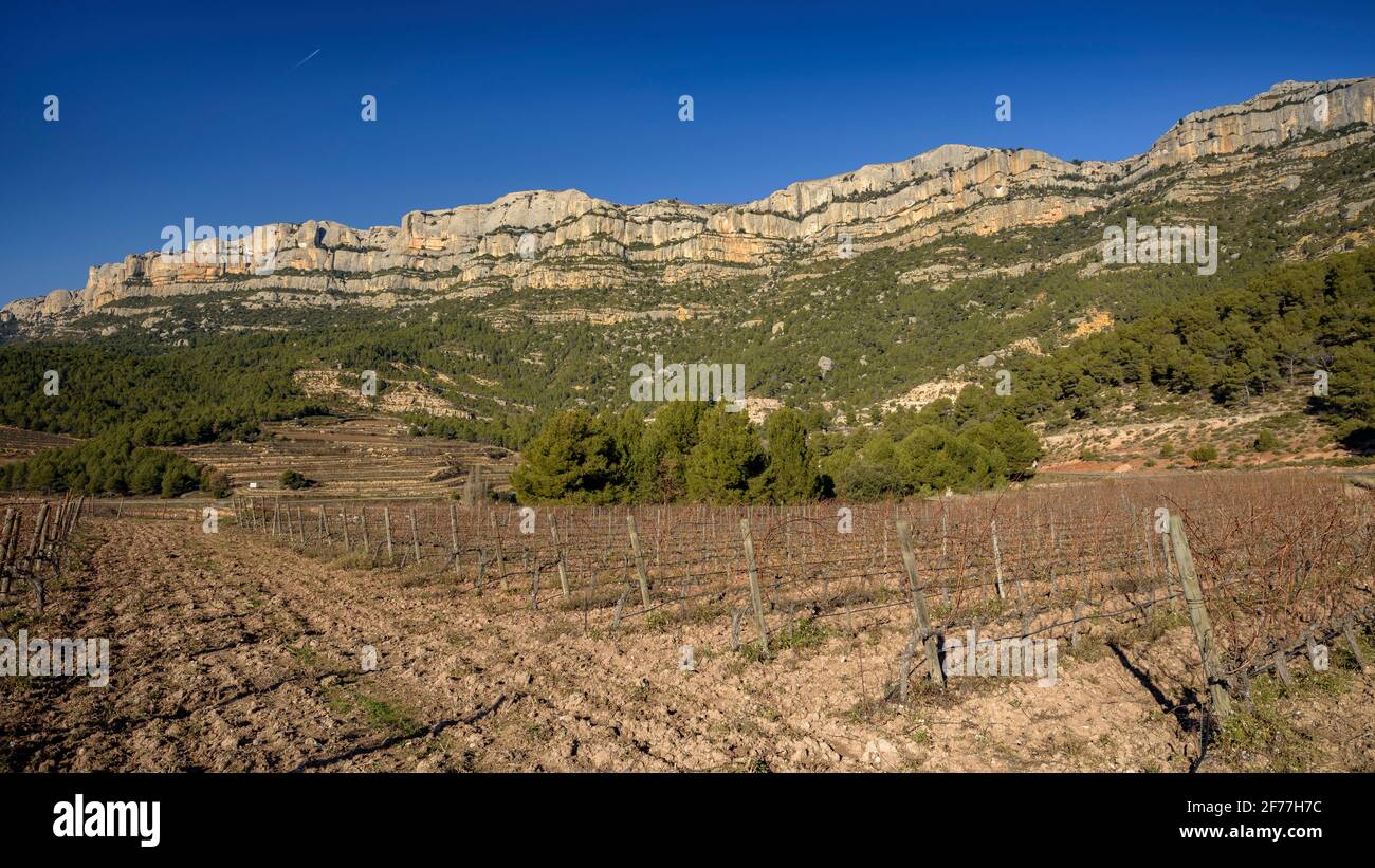 Montsant mountain range in Priorat (Tarragona province, Catalonia ...