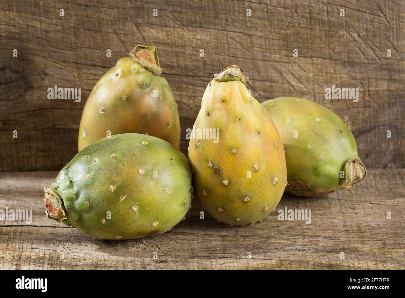 Fruit of the cactus - Opuntia ficus indica Stock Photo - Alamy