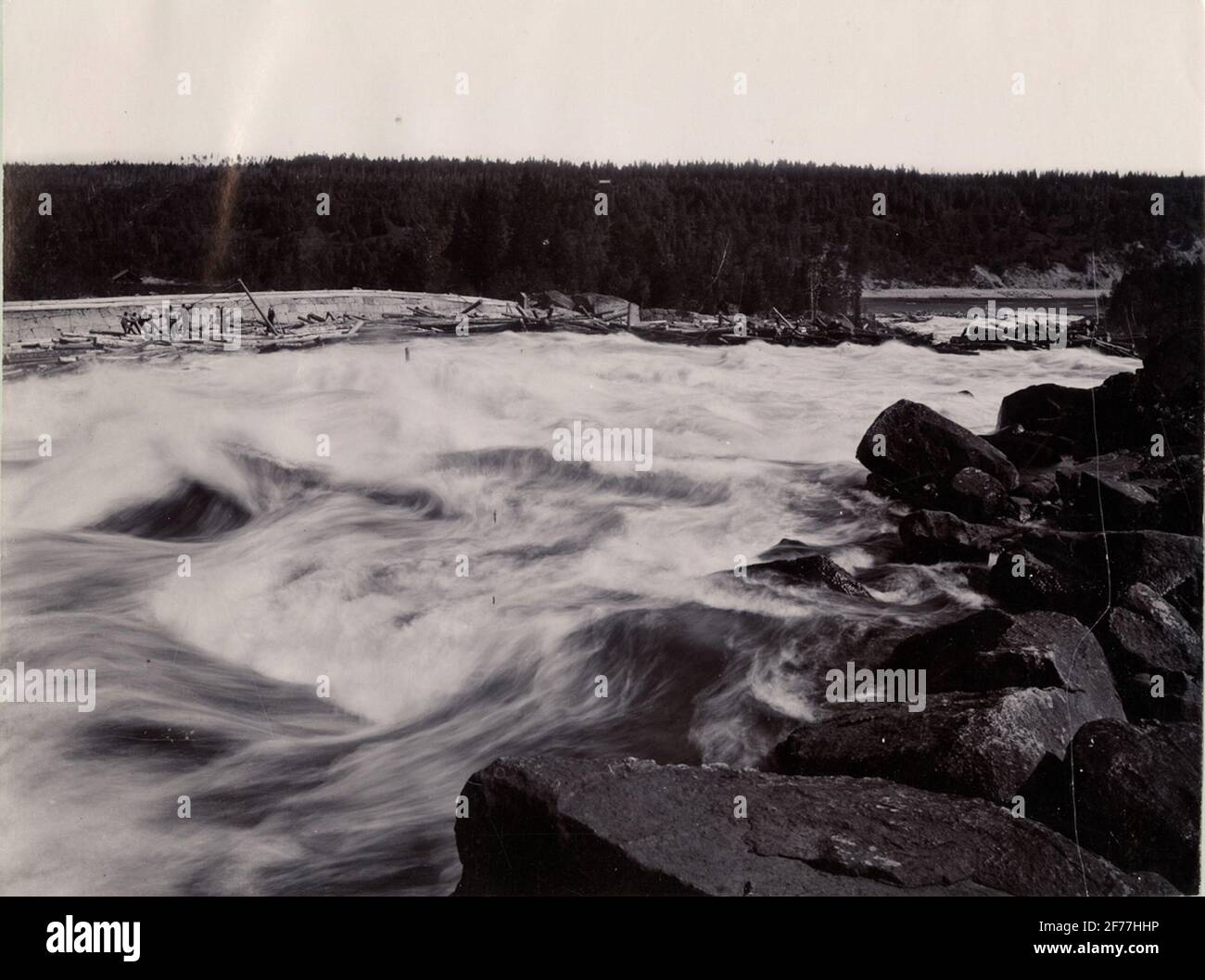 Timber float hi-res stock photography and images - Alamy