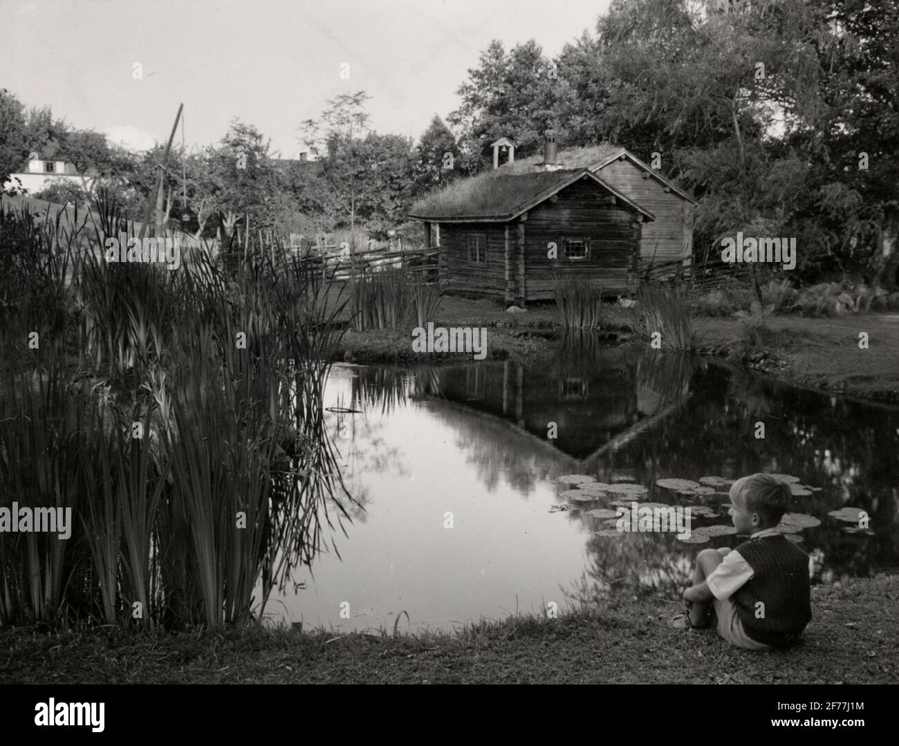 Nora lake hi-res stock photography and images - Alamy
