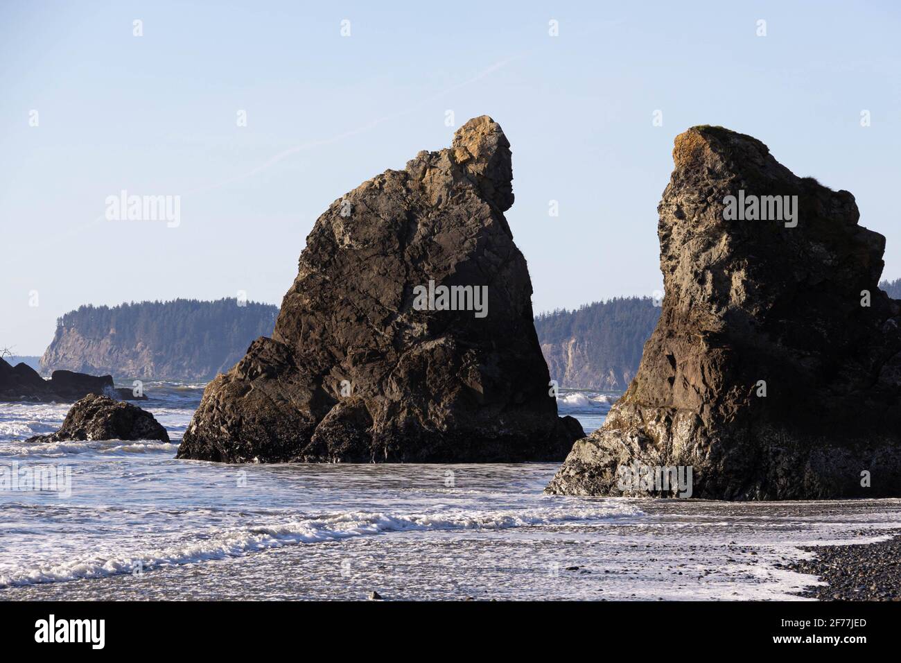 Sea stacks on the coast of Olympic National Park on Ruby Beach with ...