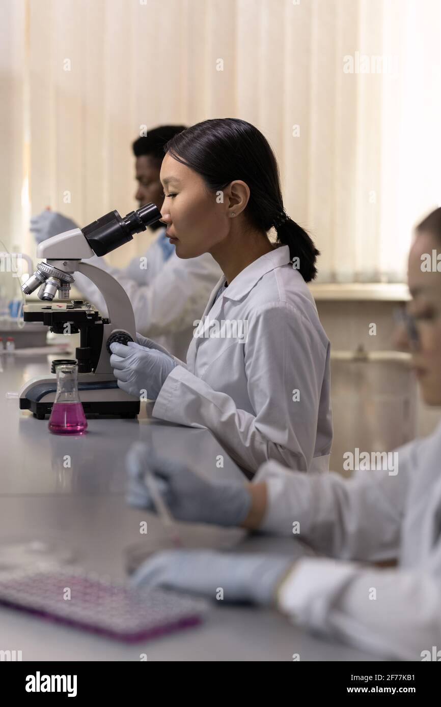 Young age asian chemistry lab hi-res stock photography and images - Alamy