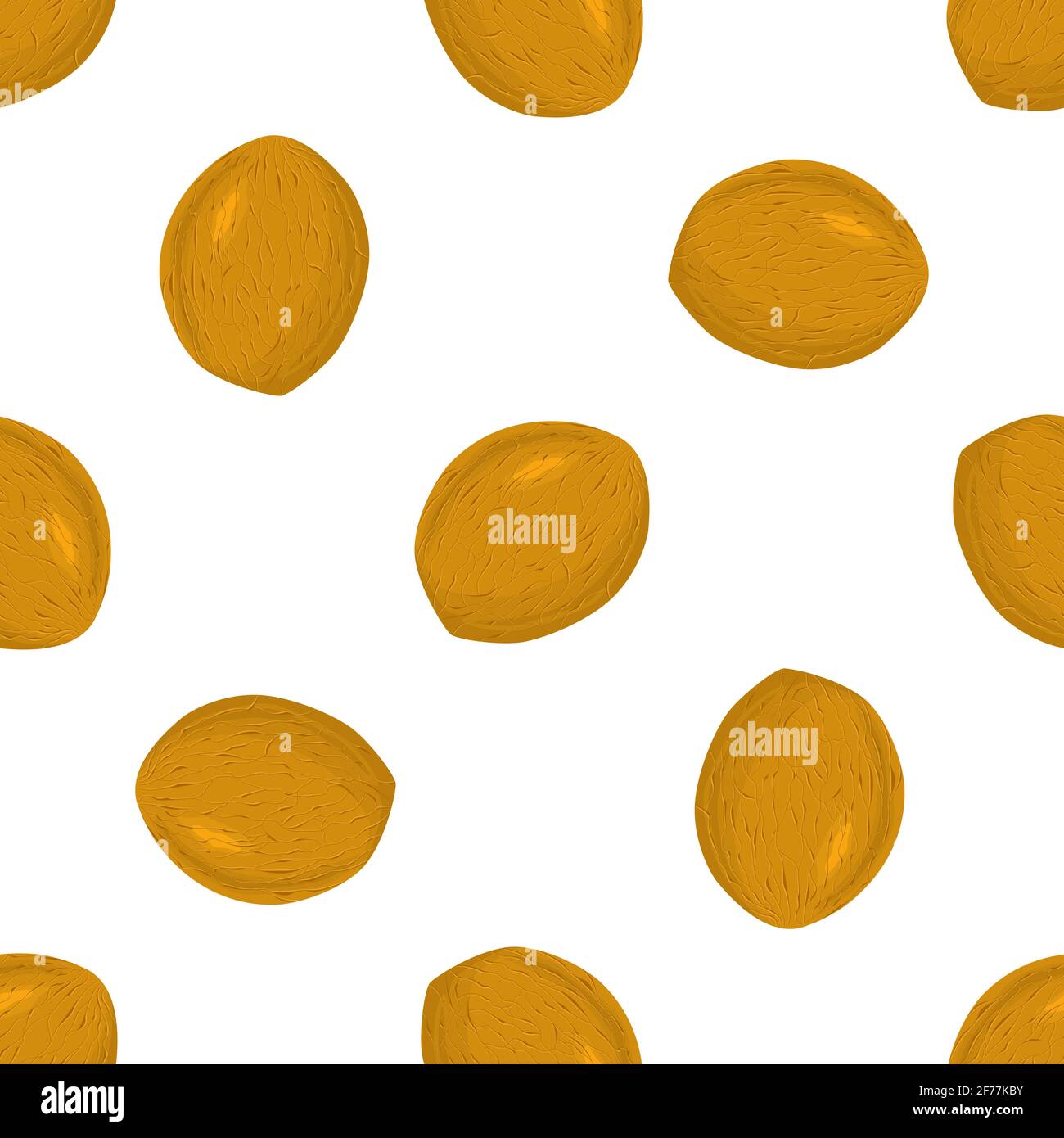 Illustration on theme big pattern identical types walnut, nut equal ...