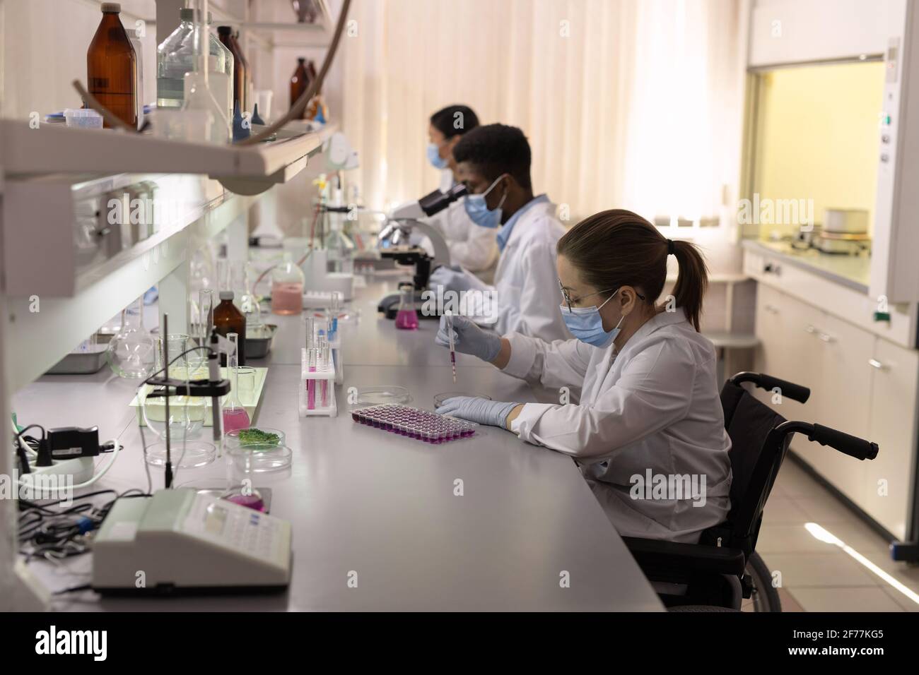 Group of scientists working at the table with microscope and examining ...