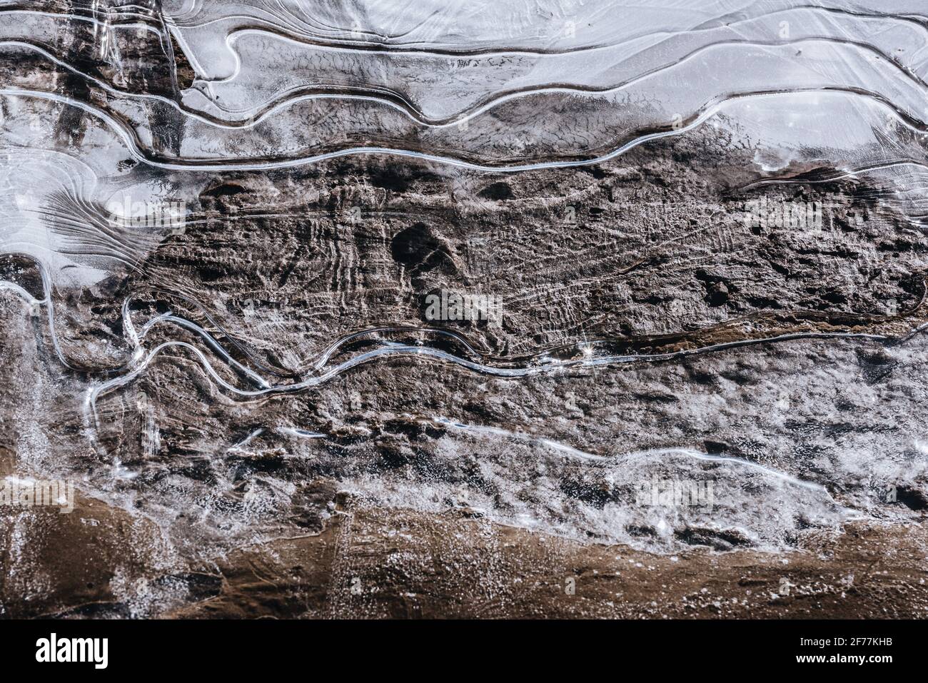 The texture of the thin ice on the water surface Stock Photo - Alamy