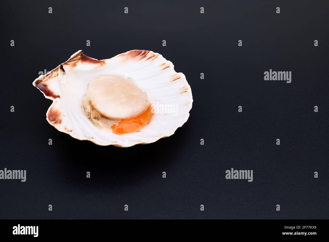 Pecten jacobaeus hi-res stock photography and images - Alamy