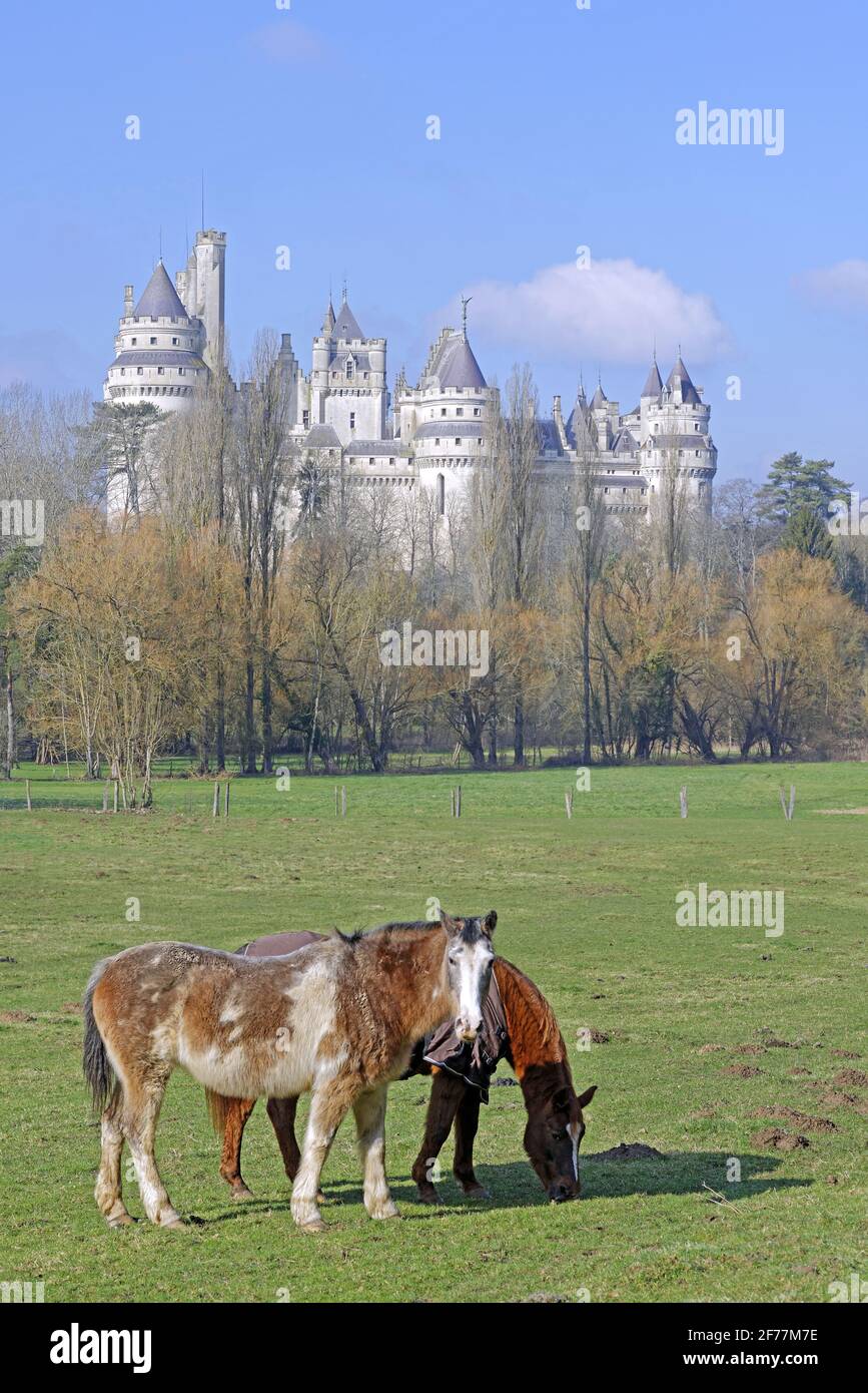 Medieval castle pierrefonds forest hi-res stock photography and images ...