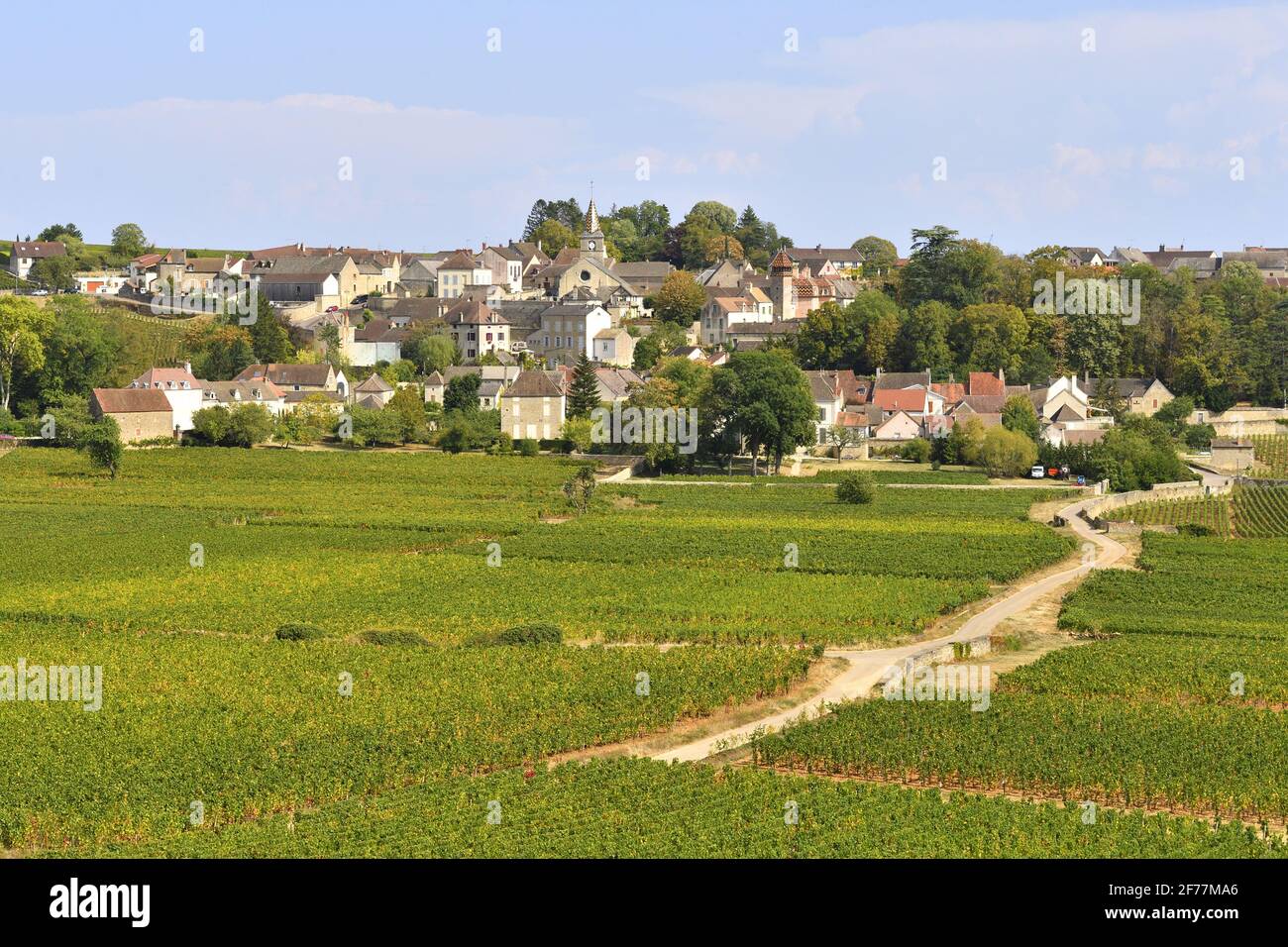 France, Cote d'Or, Monthelie, cultural Landscape of the climates of ...