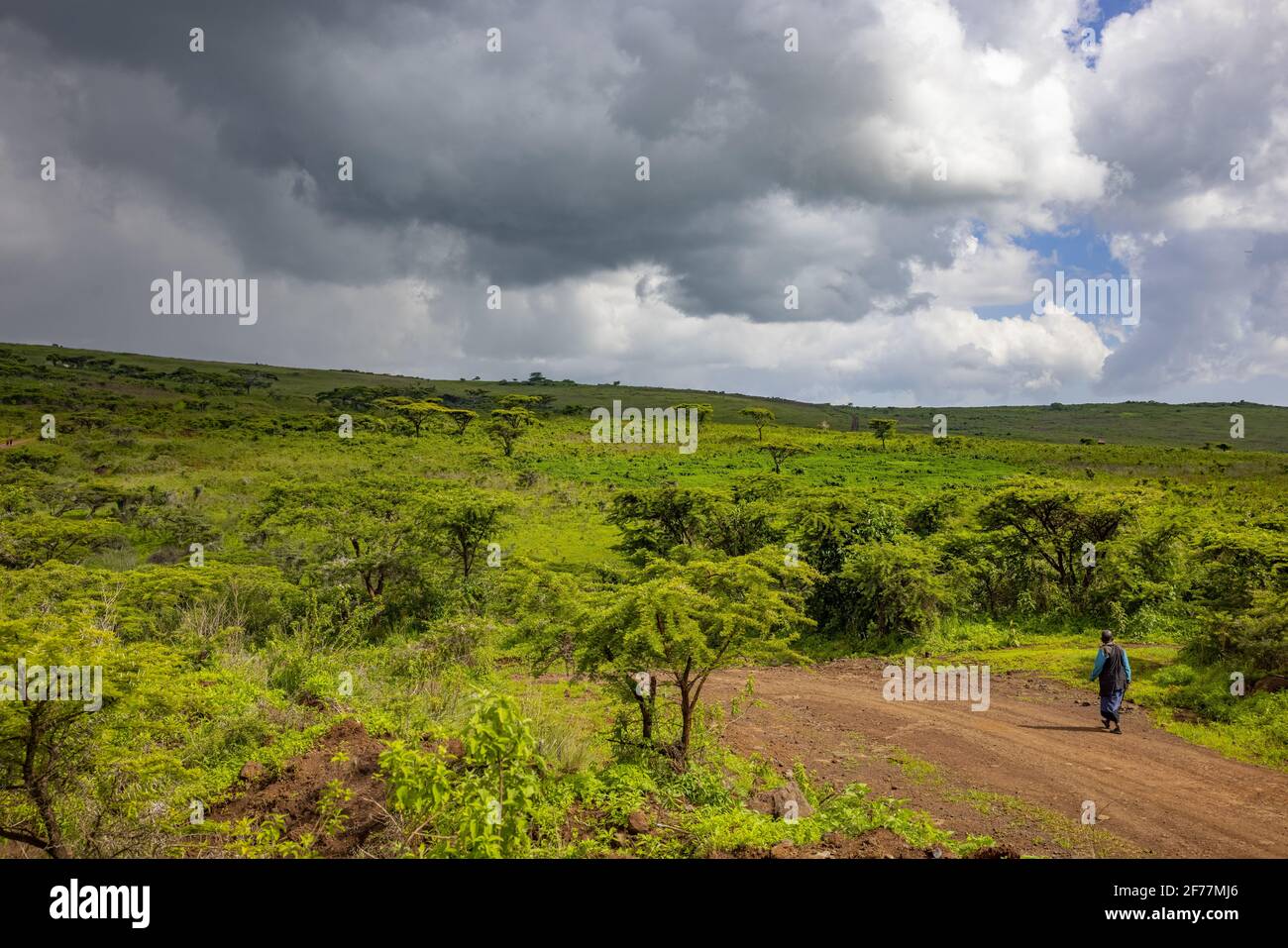 Arusha region hi-res stock photography and images - Alamy