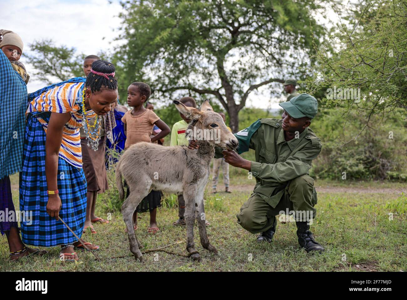 Girl rangers hi-res stock photography and images - Alamy