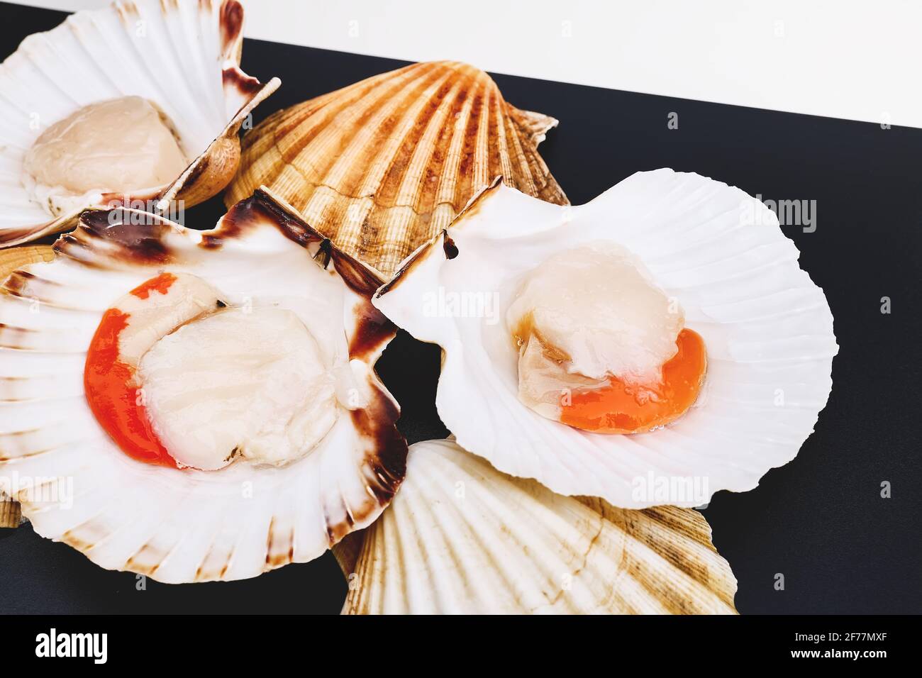 Whole Scallops In Shell