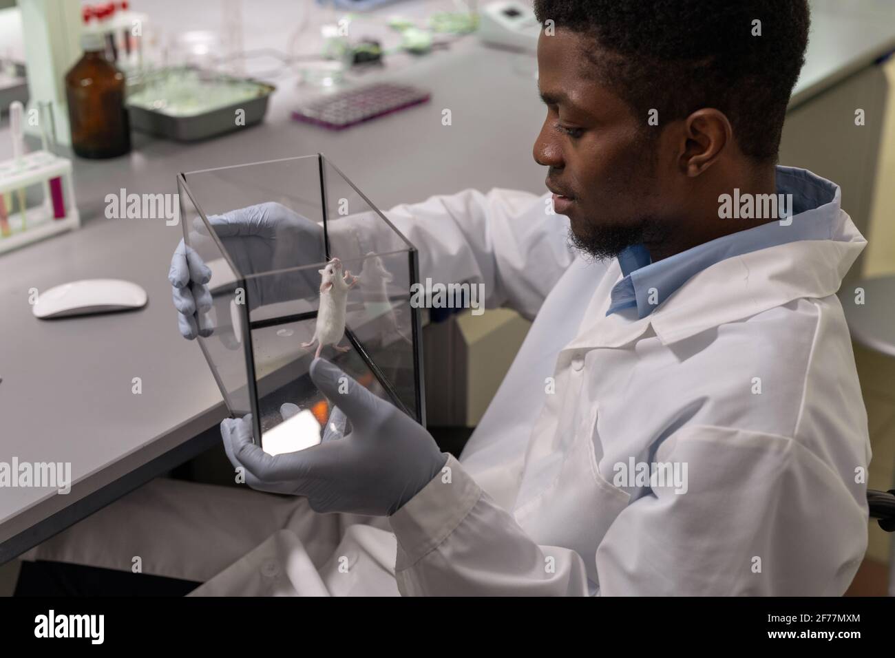 African scientist holding box with mouse in it in his hands and holding ...