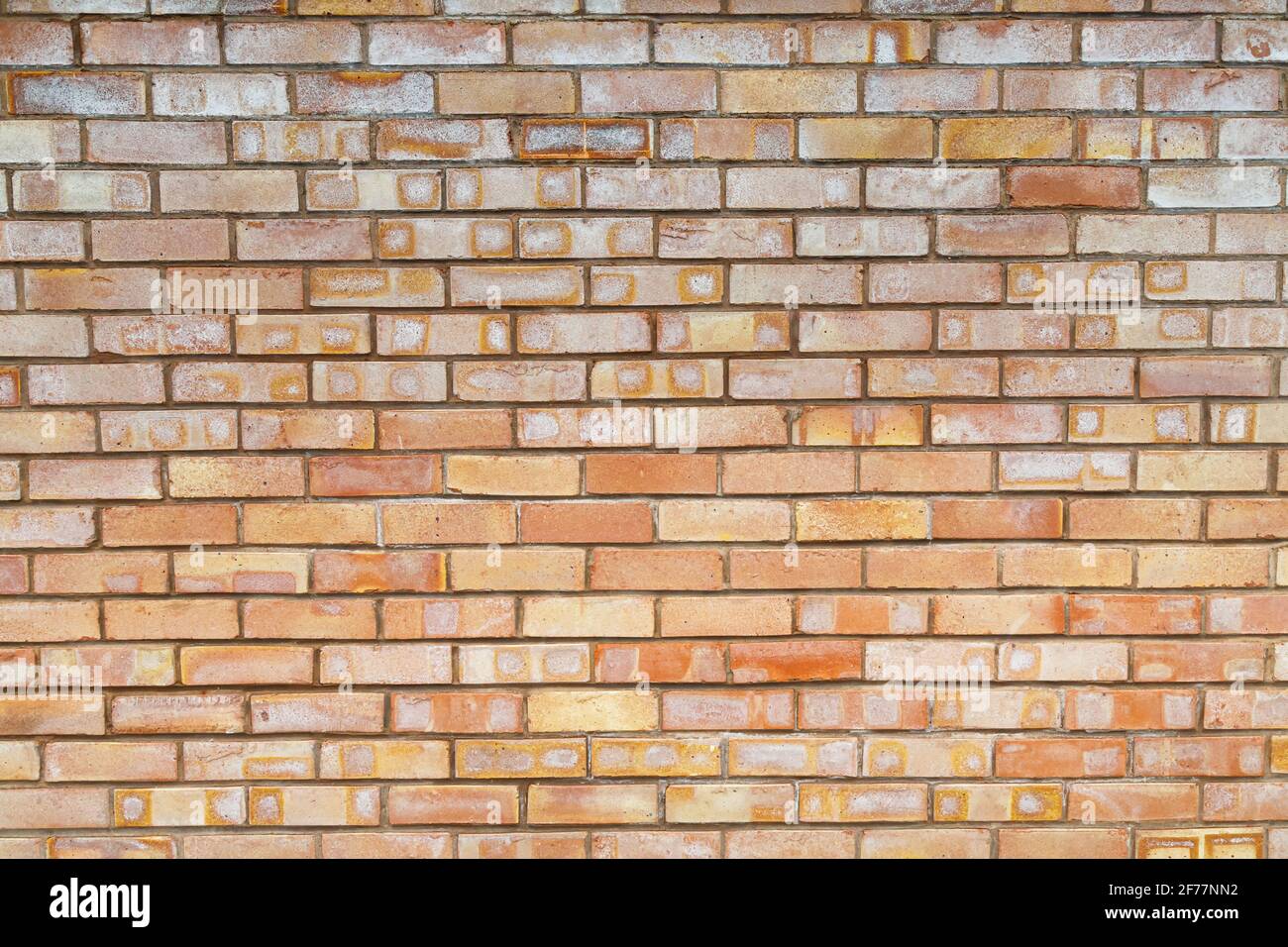 Empty brick wall background hi-res stock photography and images - Alamy
