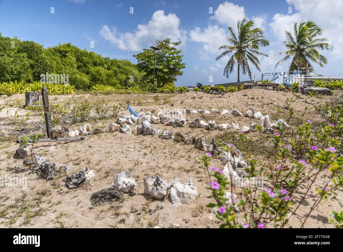 Conch architecture hi-res stock photography and images - Alamy