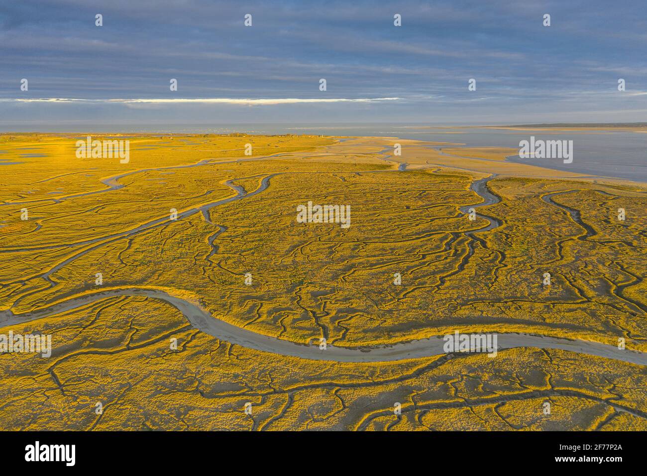 France, Somme, Baie de Somme, Saint-Valery-sur-Somme, exceptional light ...