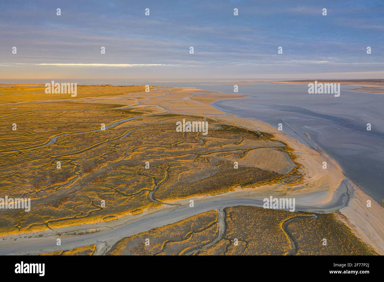 France, Somme, Baie de Somme, Saint-Valery-sur-Somme, exceptional light ...