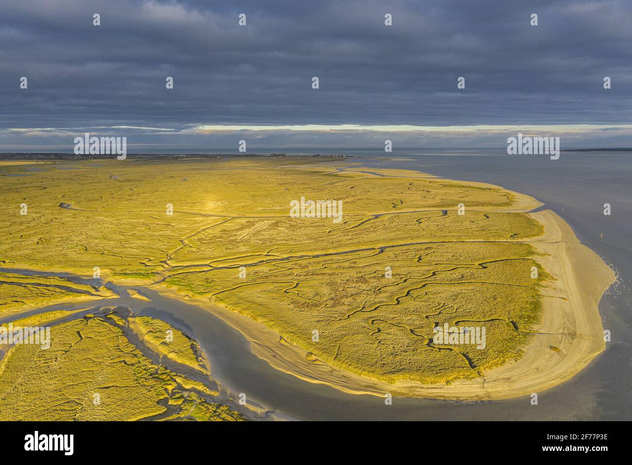 France, Somme, Baie de Somme, Saint-Valery-sur-Somme, exceptional light ...