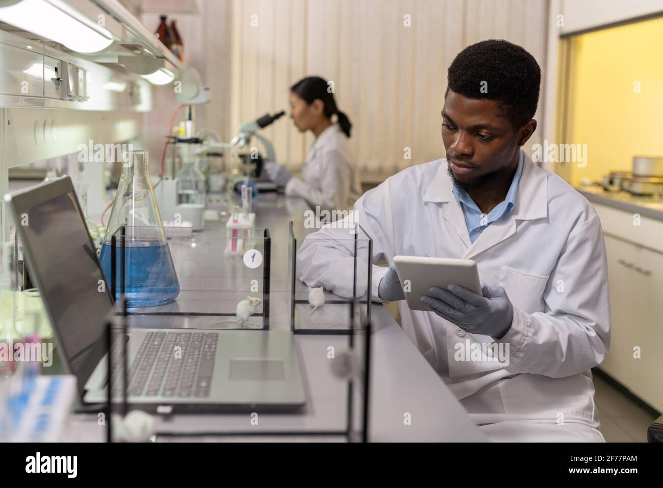 Types of computer mice hi-res stock photography and images - Alamy