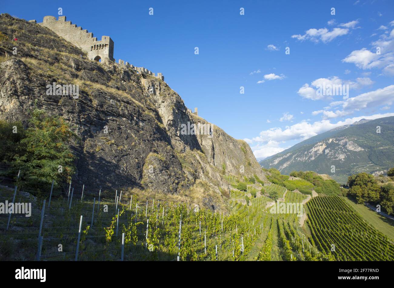 Switzerland, Wallis, Sion, the old town along Rhone river features a ...