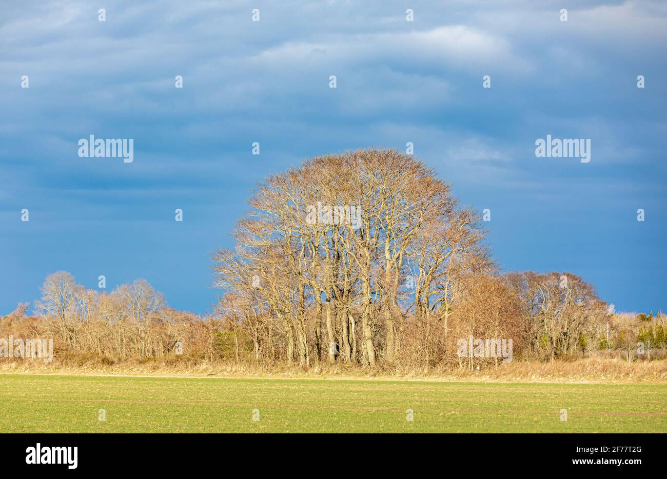 Brilliant landscape hi-res stock photography and images - Alamy