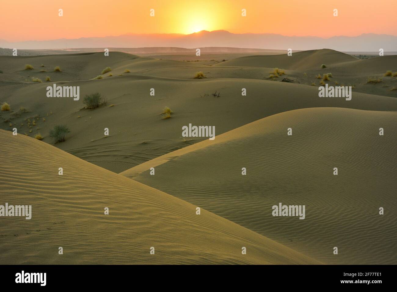 Middle east sunset desert hi-res stock photography and images - Alamy
