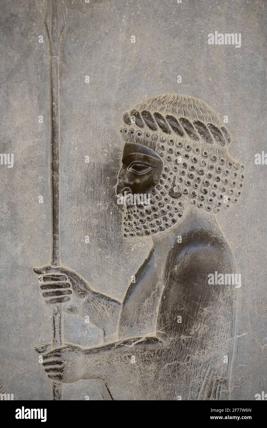 Persepolis relief guards hi-res stock photography and images - Alamy