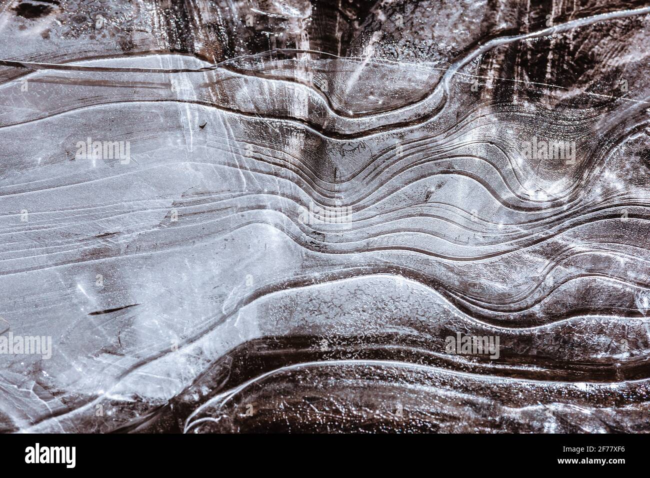 The texture of the thin ice on the water surface Stock Photo - Alamy