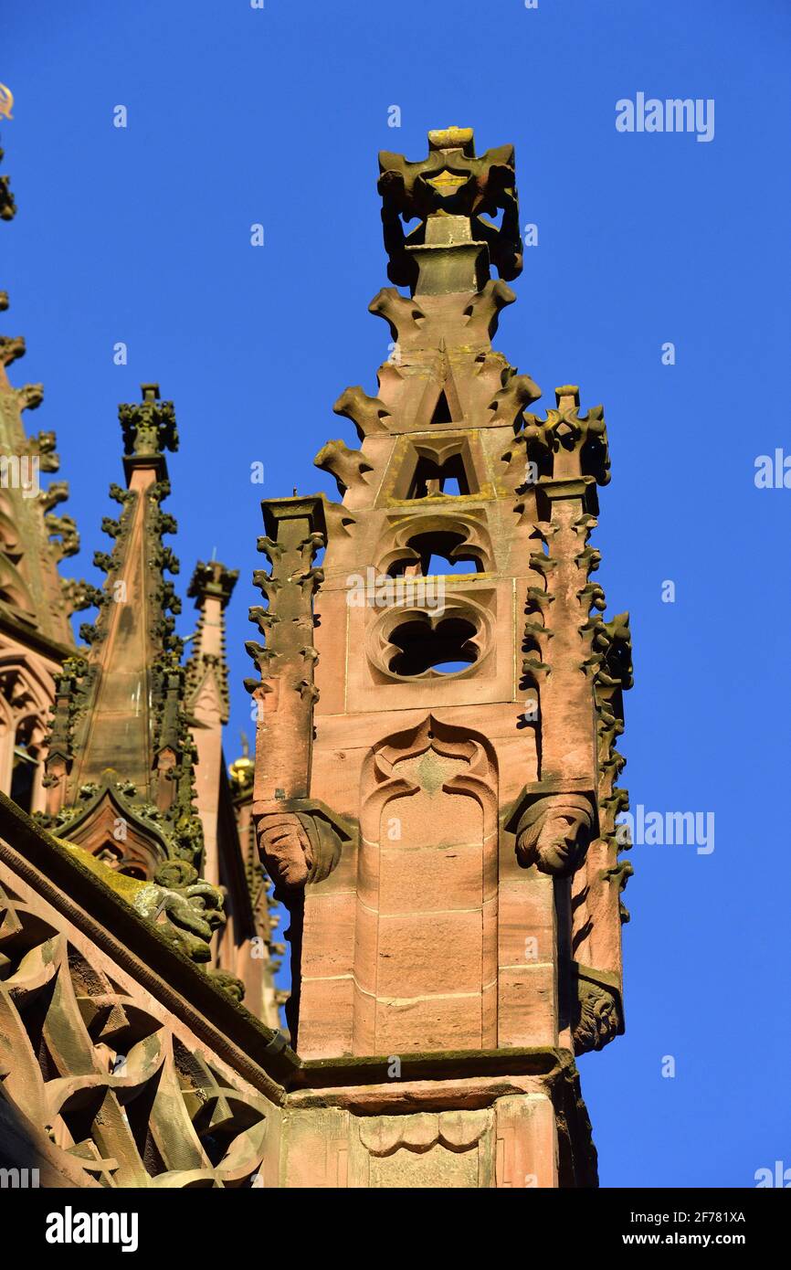 Freiburg cathedral gargoyle hi-res stock photography and images - Alamy