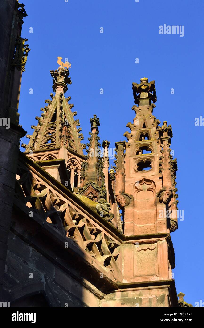 Freiburg cathedral gargoyle hi-res stock photography and images - Alamy