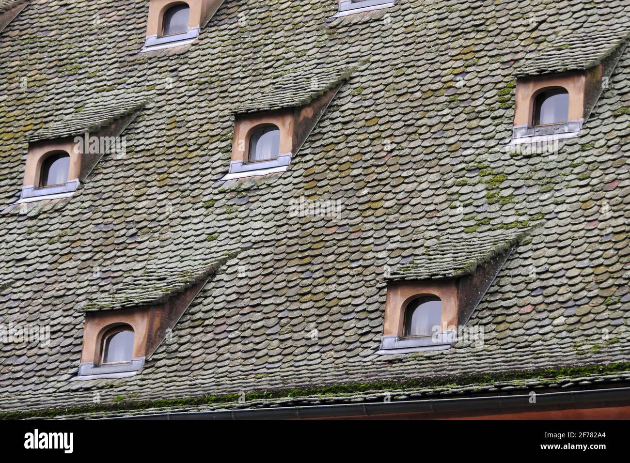 Beaver tail roof tile hi-res stock photography and images - Alamy