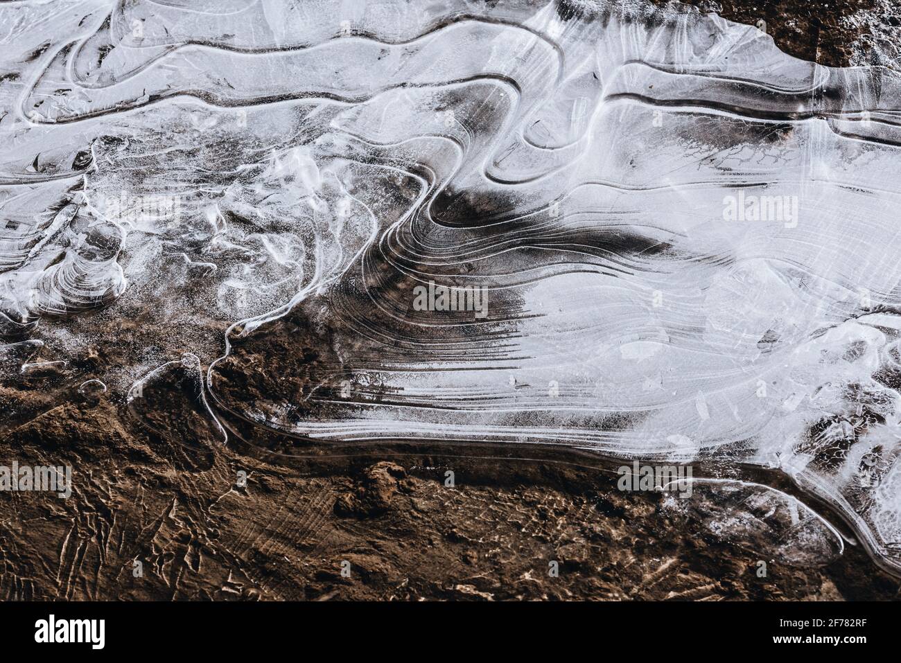 The texture of the thin ice on the water surface Stock Photo - Alamy