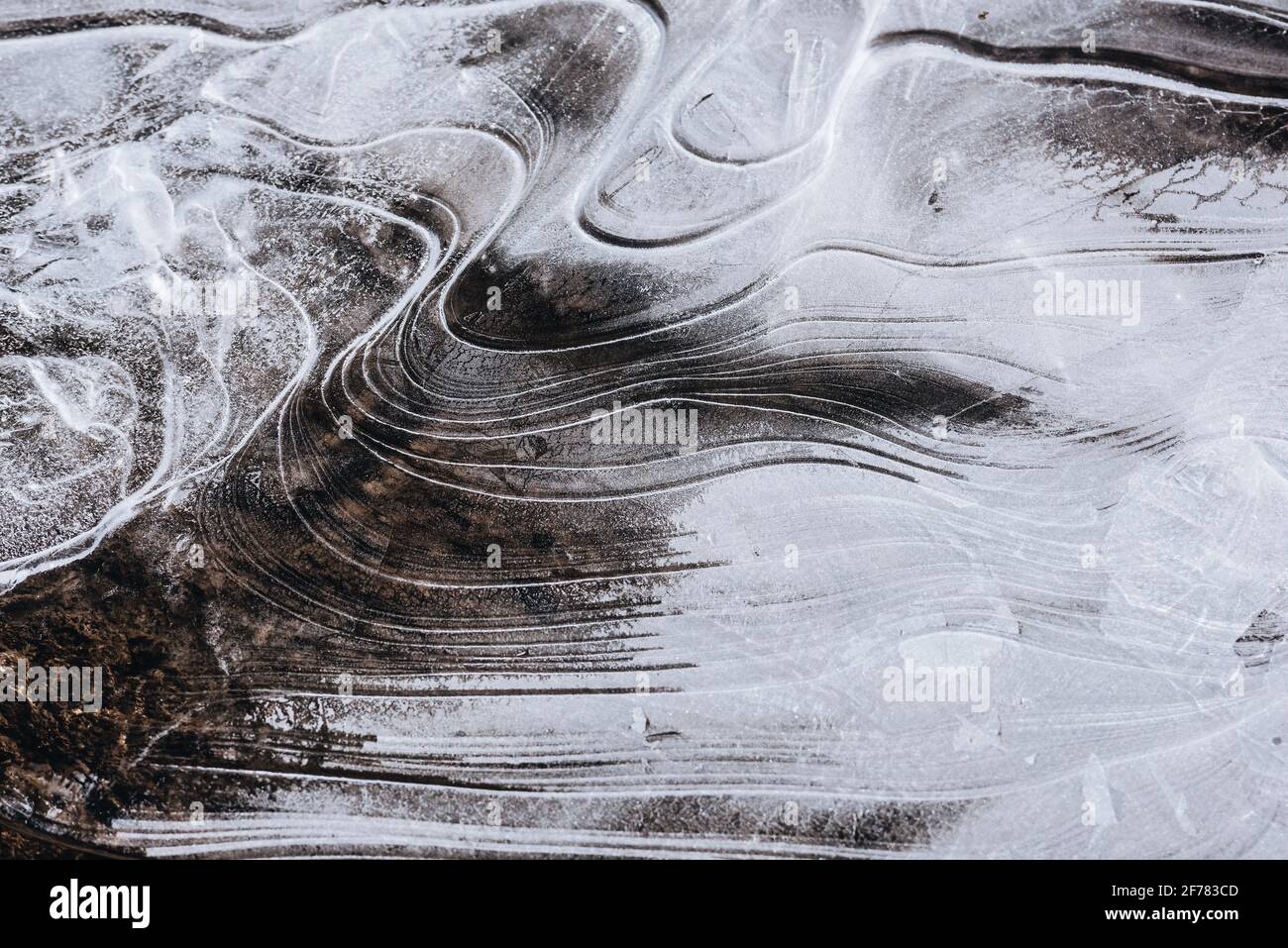 The texture of the thin ice on the water surface Stock Photo - Alamy