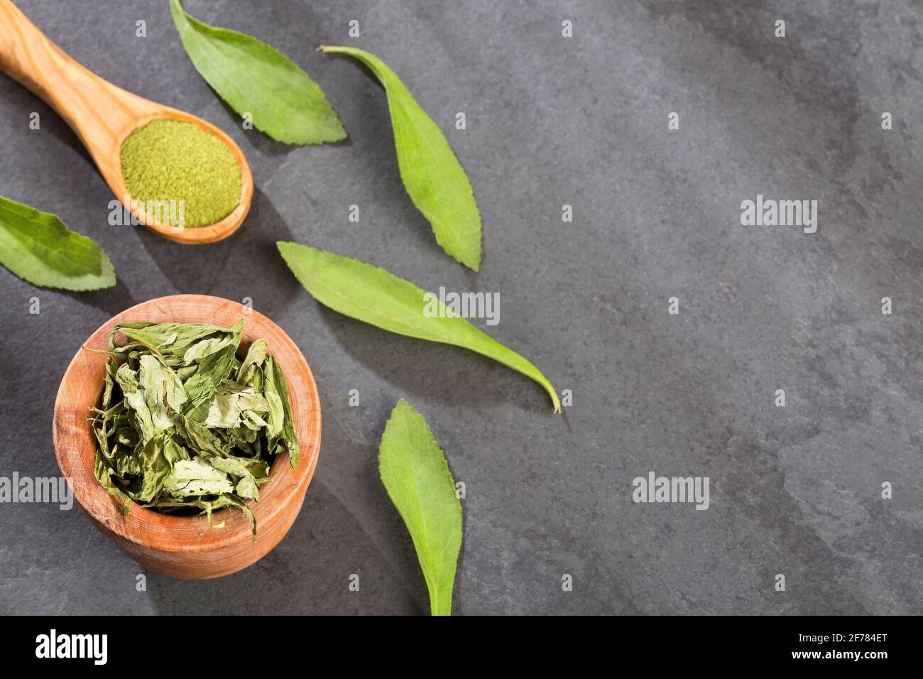 Natural sweetener in powder from stevia plant - Stevia rebaudiana Stock ...